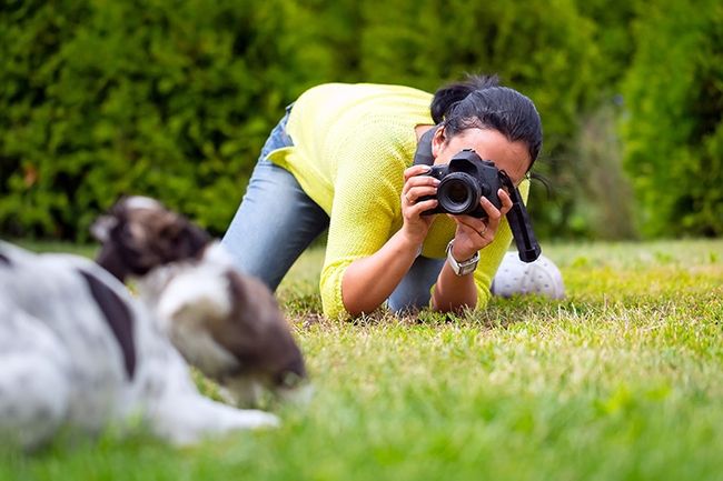 Pet Photography - 10 Top Tips and Techniques
