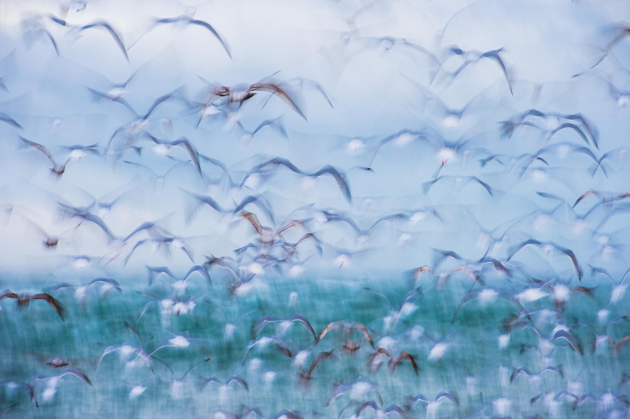 Daniel Pullen Photographer Hatteras Island Outer Banks